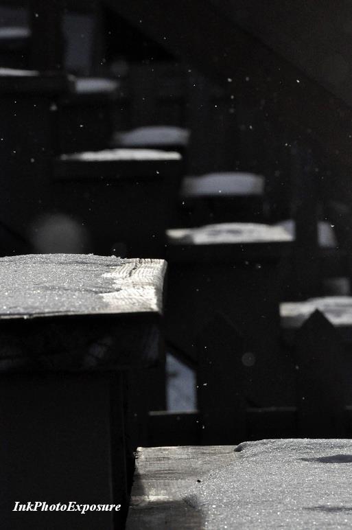 The Newcomers – momentary synopsis